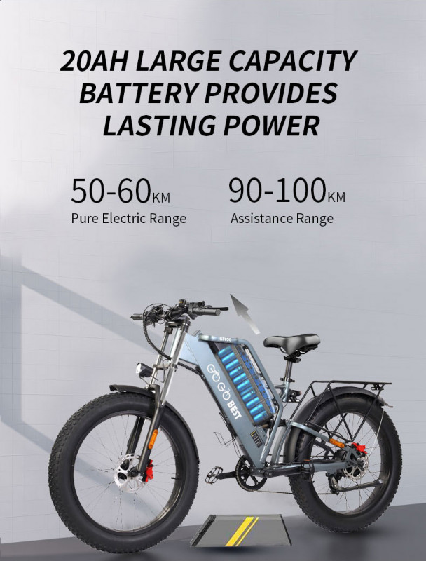 E-bike GRASS GOGOBEST GF650 1000W